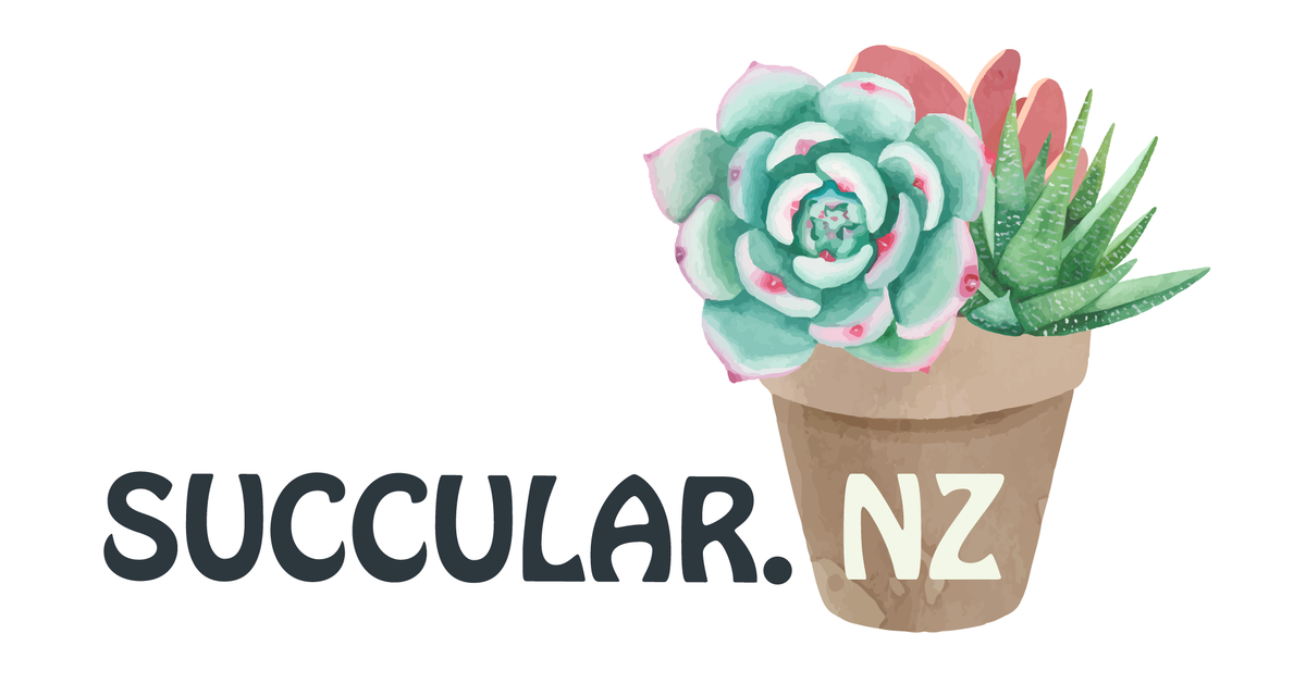 Collections – Page 2 – Succular.nz